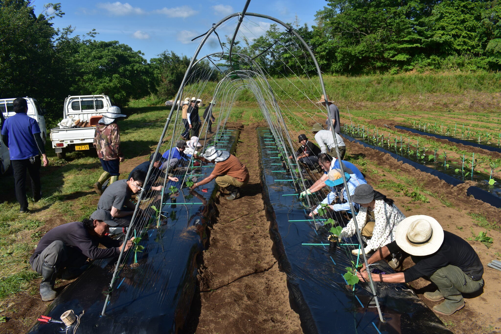 有機の学校Organic SMILE